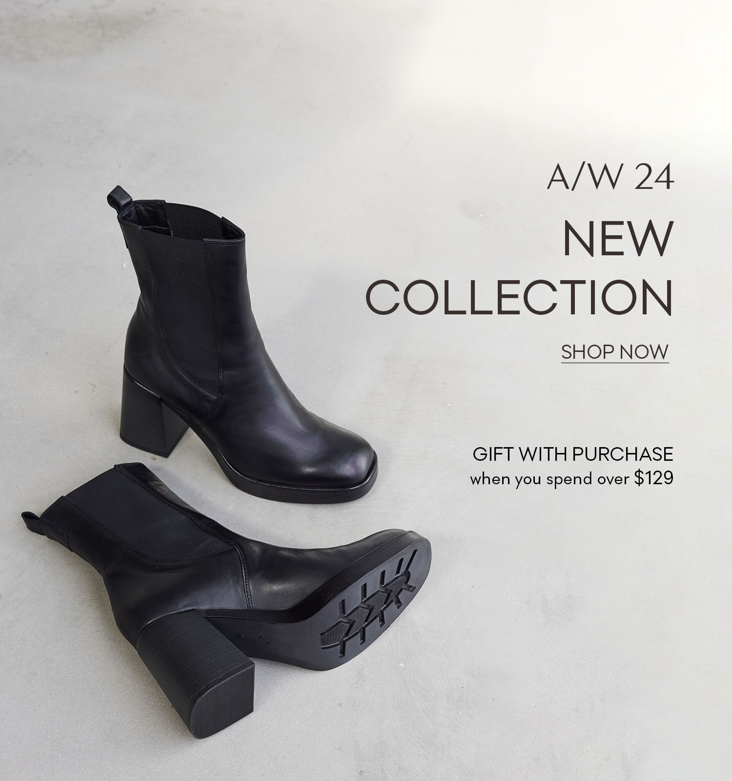 Shop Women's & Men's Shoes with Free NZ Delivery on Orders Over $100 ...